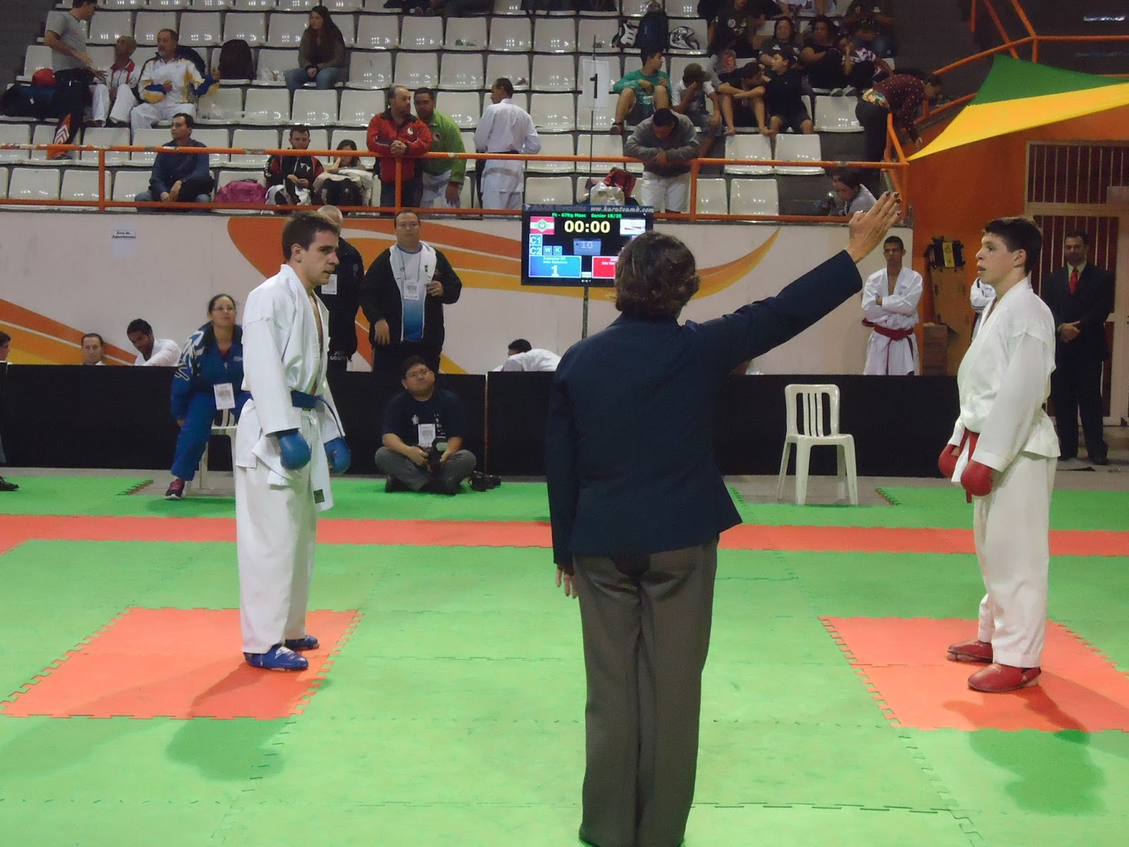 Sistema Ronin: International Karate-Do Goju-Kai Association Brasil