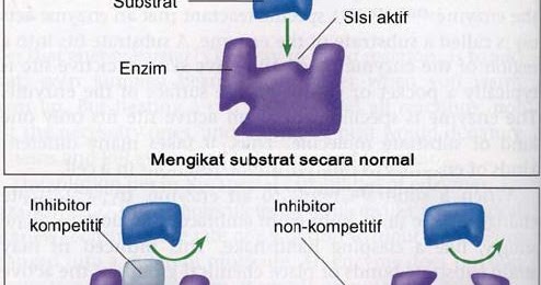 Pengertian Inhibitor dan Macam-macam Inhibitor beserta Contohnya ...