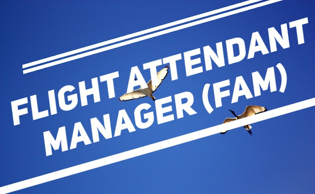 FLIGHT ATTENDANT MANAGER (FAM) - Aviation Lessons