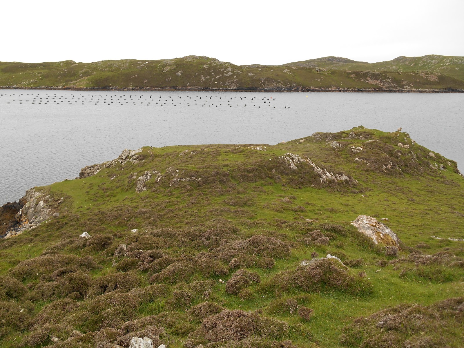 A lifetime of Islands: Island 385 - Oggar Holm, Vementry, Shetland