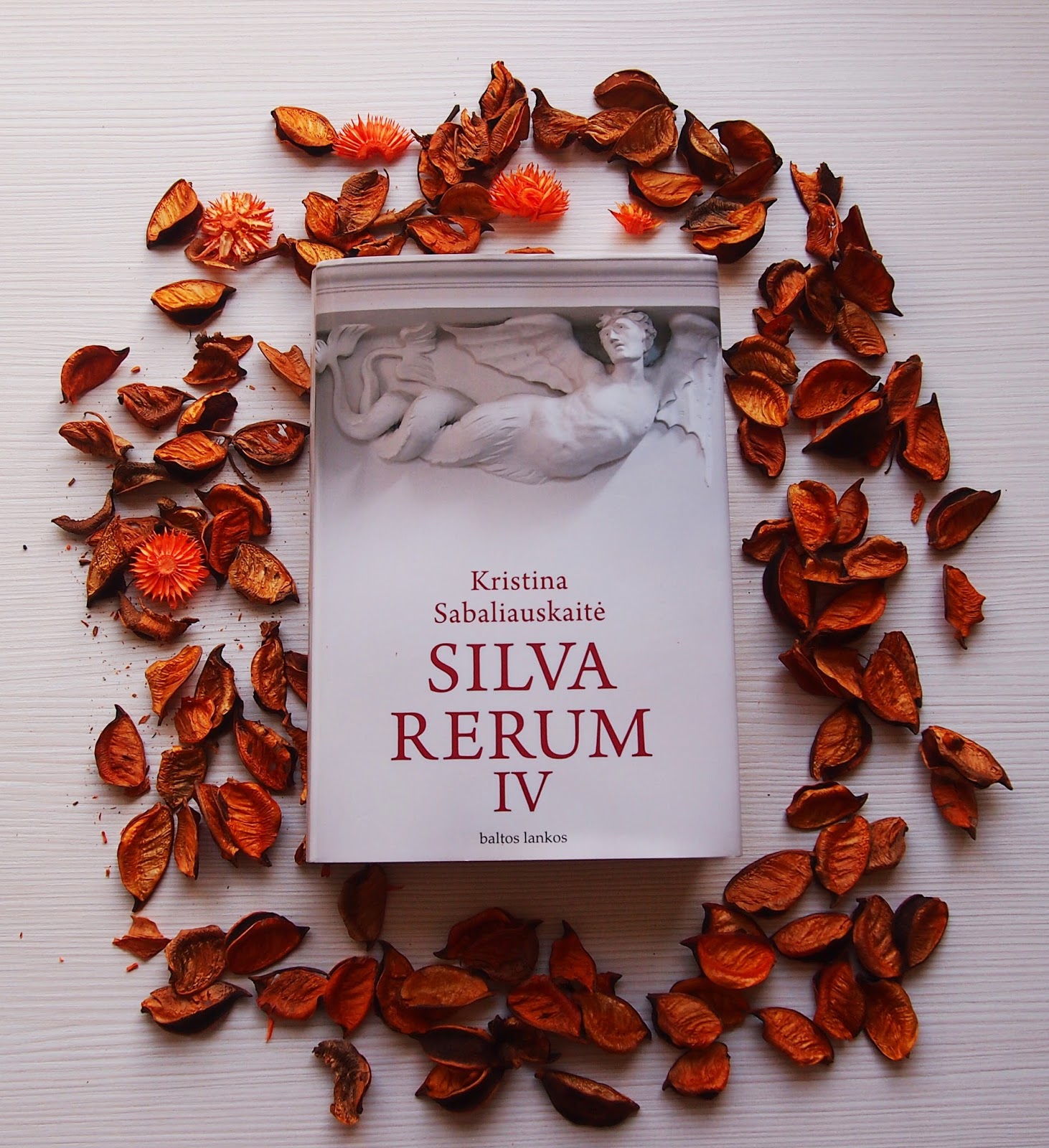 Knygų slėnis: Kristina Sabaliauskaitė "Silva Rerum IV"