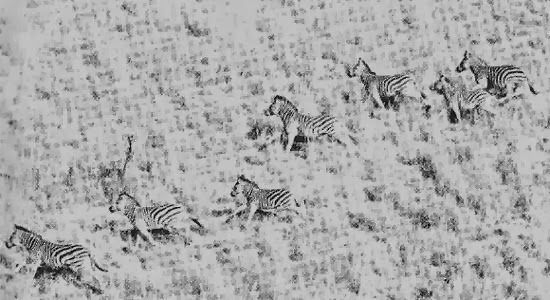 Our Rhodesian Heritage: September 2013