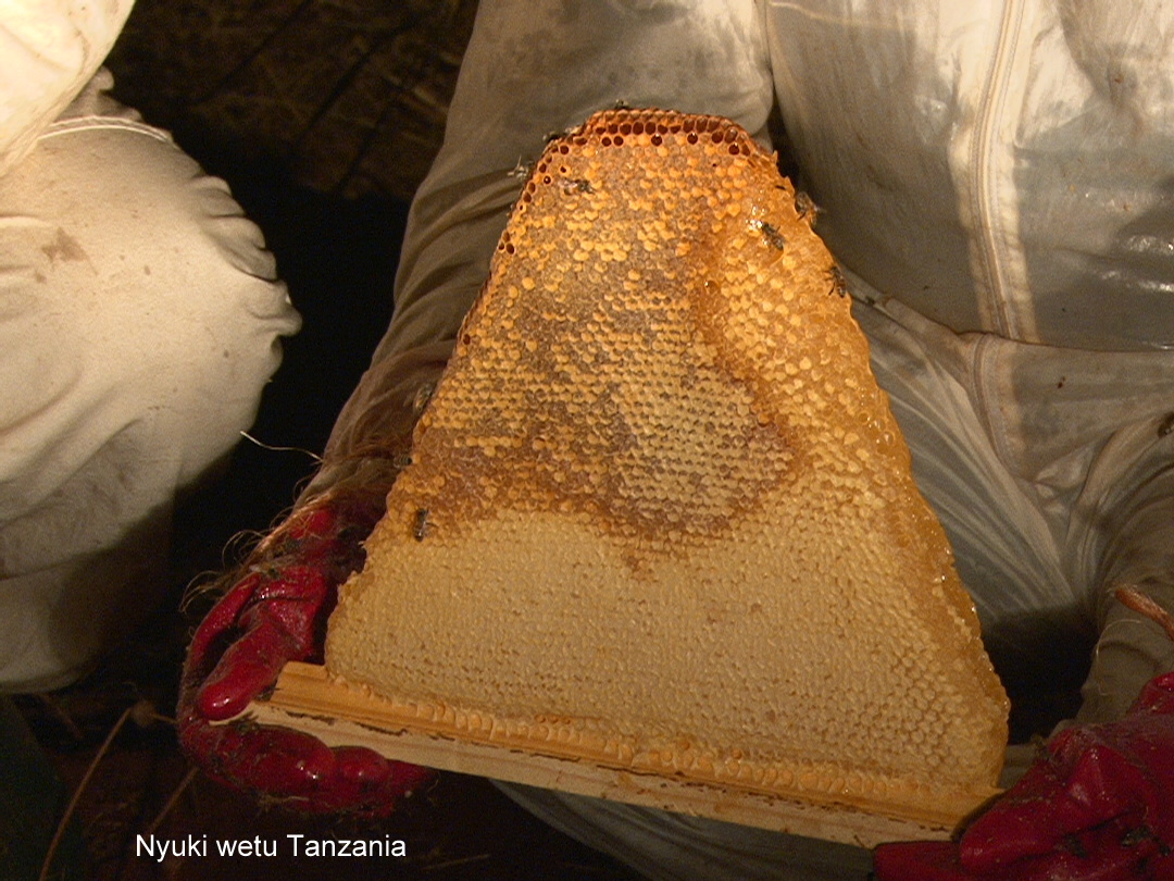 NYUKI MKOMBOZI COMPANY: Picha na Video