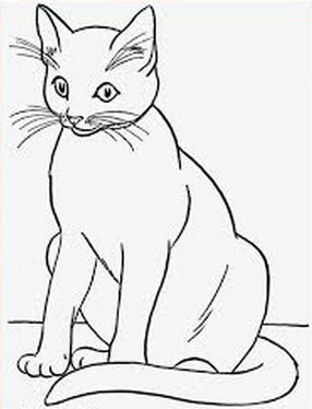 Menggambar dan Mewarnai Kucing Supaya Terlihat Manis - blog mewarnai