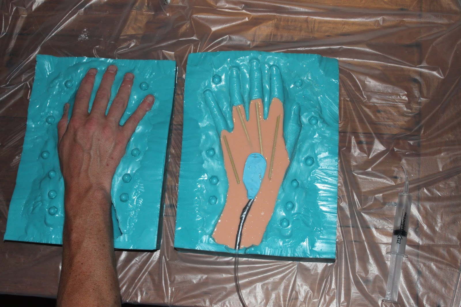 HSE Live Demos: Using the mold and embedding blood bladder and bones