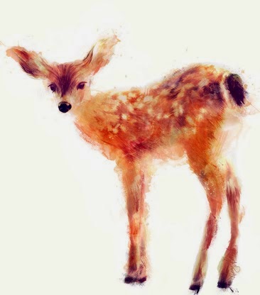 >> The Ones To Watch: Illustrator Amy Hamilton