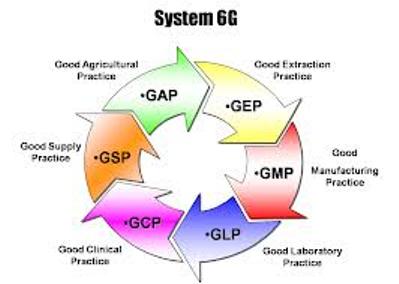 Teknologi & Standar Kualitas | Green World Network