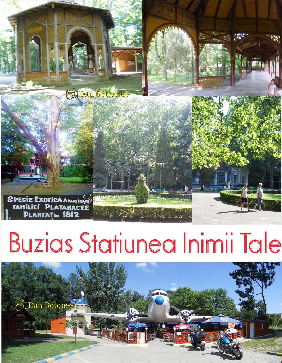 Da Culoare Vietii: Relaxare la Buzias - Statiunea inimii tale