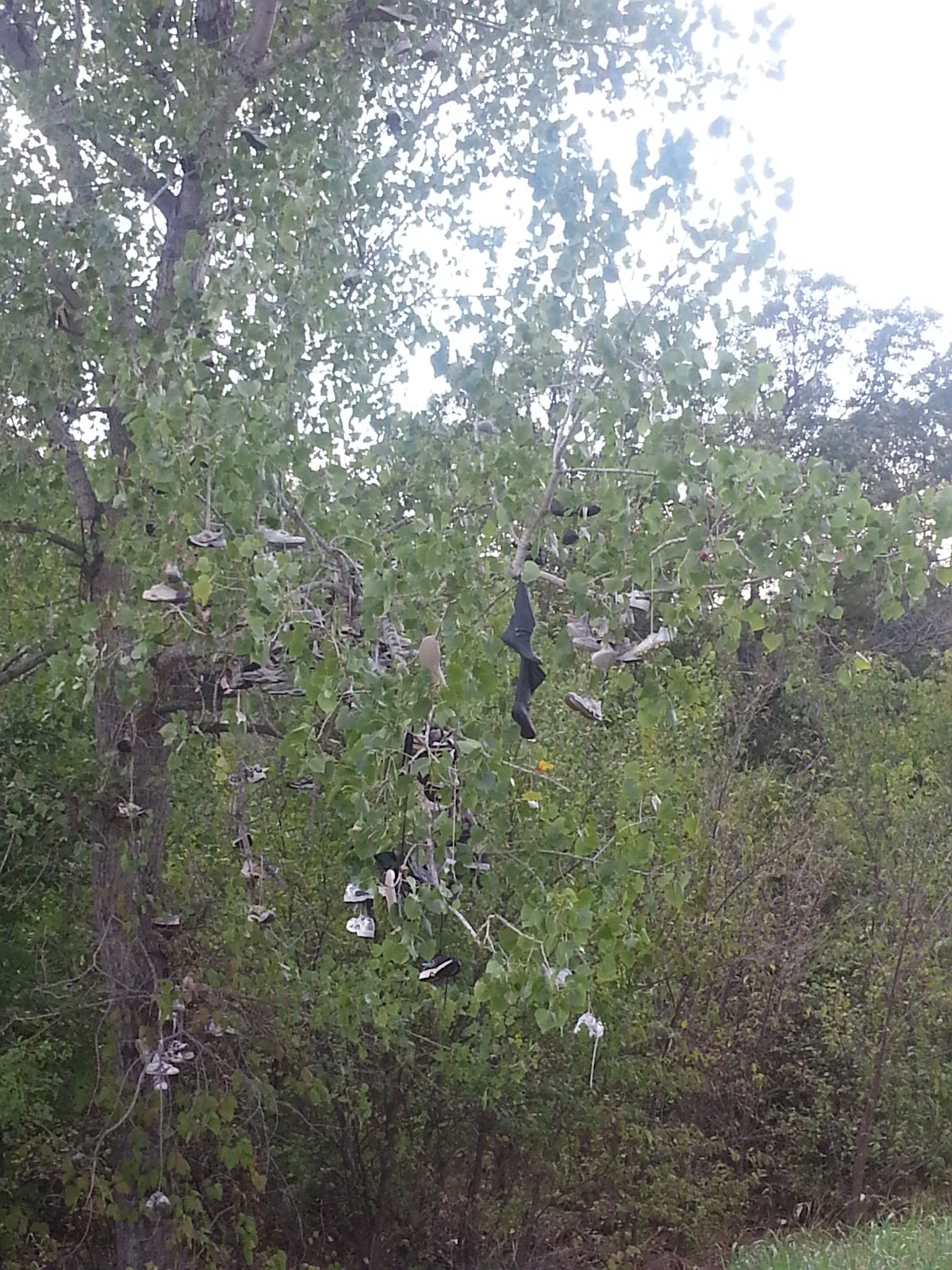 Irregular Ramblings of a Regular Guy: Off to Oklahoma Again