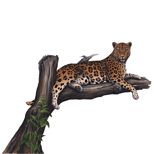 GEOGRAFI LINGKUNGAN: 2019