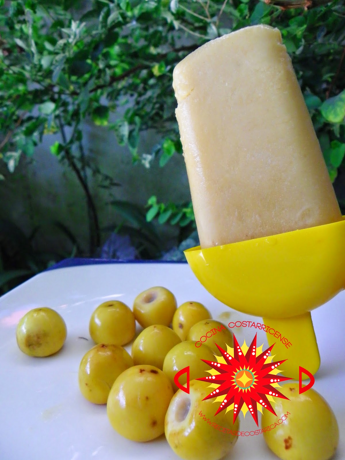 Cocina Costarricense: helados de nance