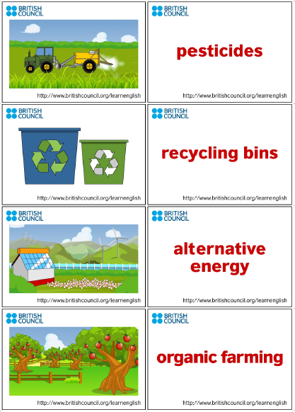 Our Environment: Flashcards gratuitas medio ambiente