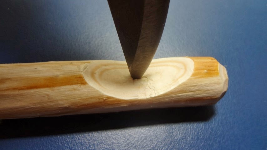 "Try Stick" ~ | Bushcraft Berg