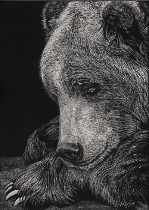 Scratch Art Animals