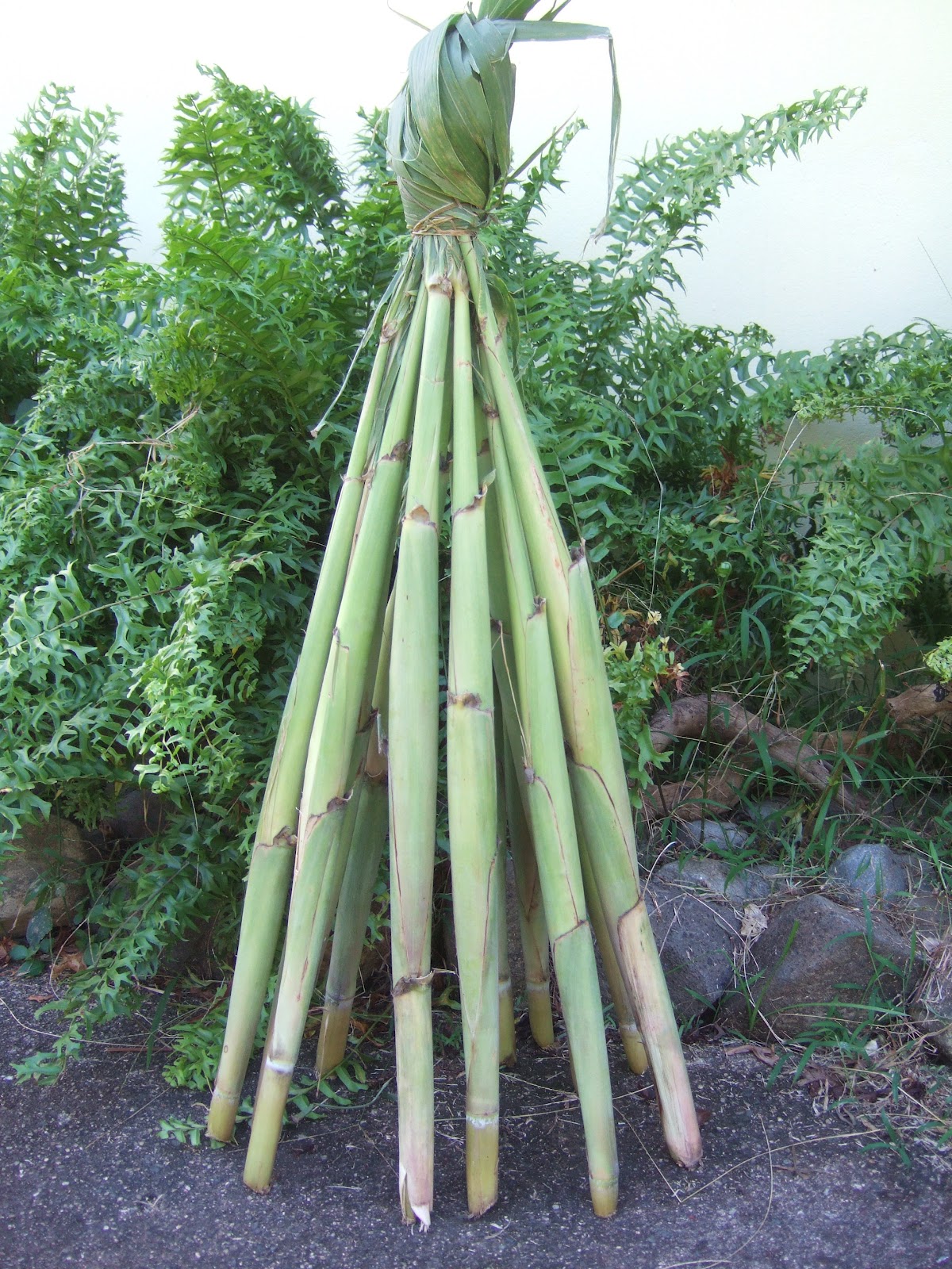 Noted on the Wayside: DURUKA SEASON