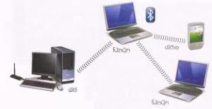 นรีกานต์ ศรีสุวรรณ