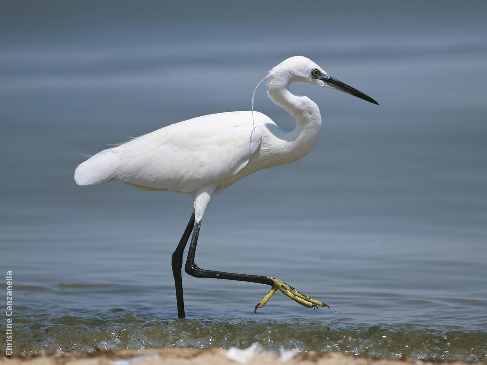 The Taiwan Adventure: Not Quite the Last of the Mountain Men