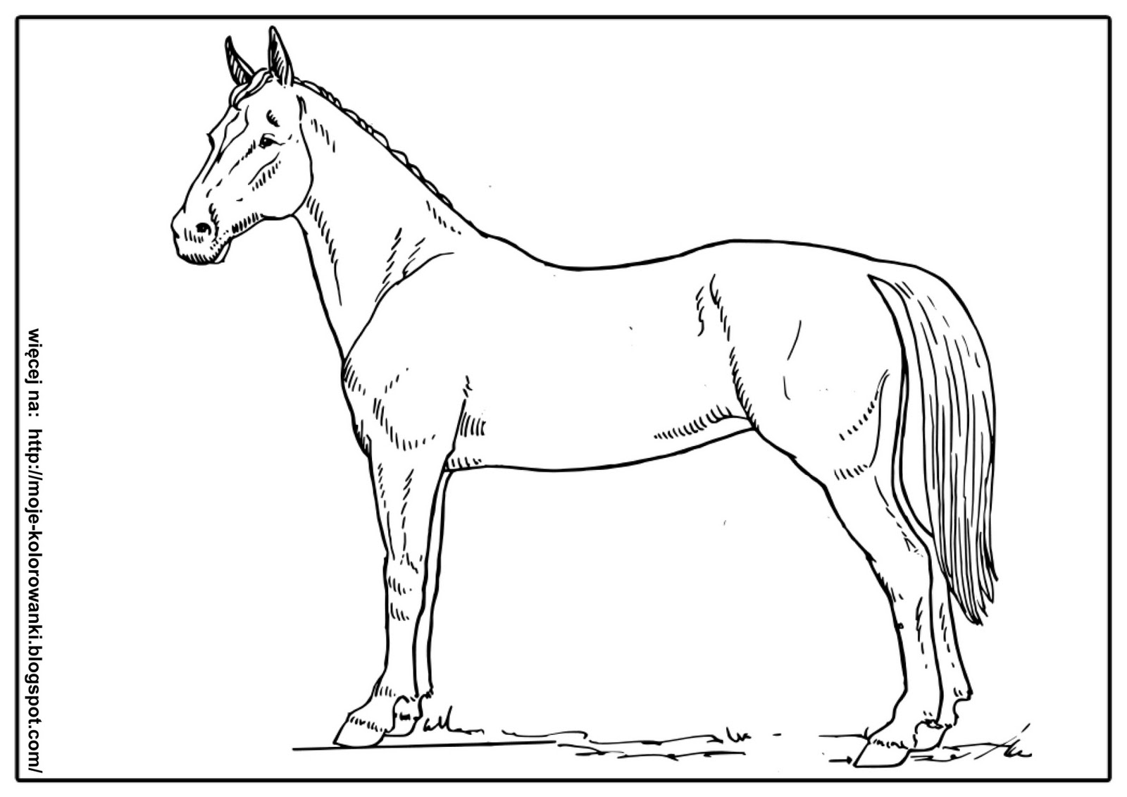 Kolorowanki dla dzieci: stycznia 2012