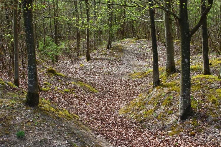 Vu par MamLéa: En Meuse : le Mort-Homme