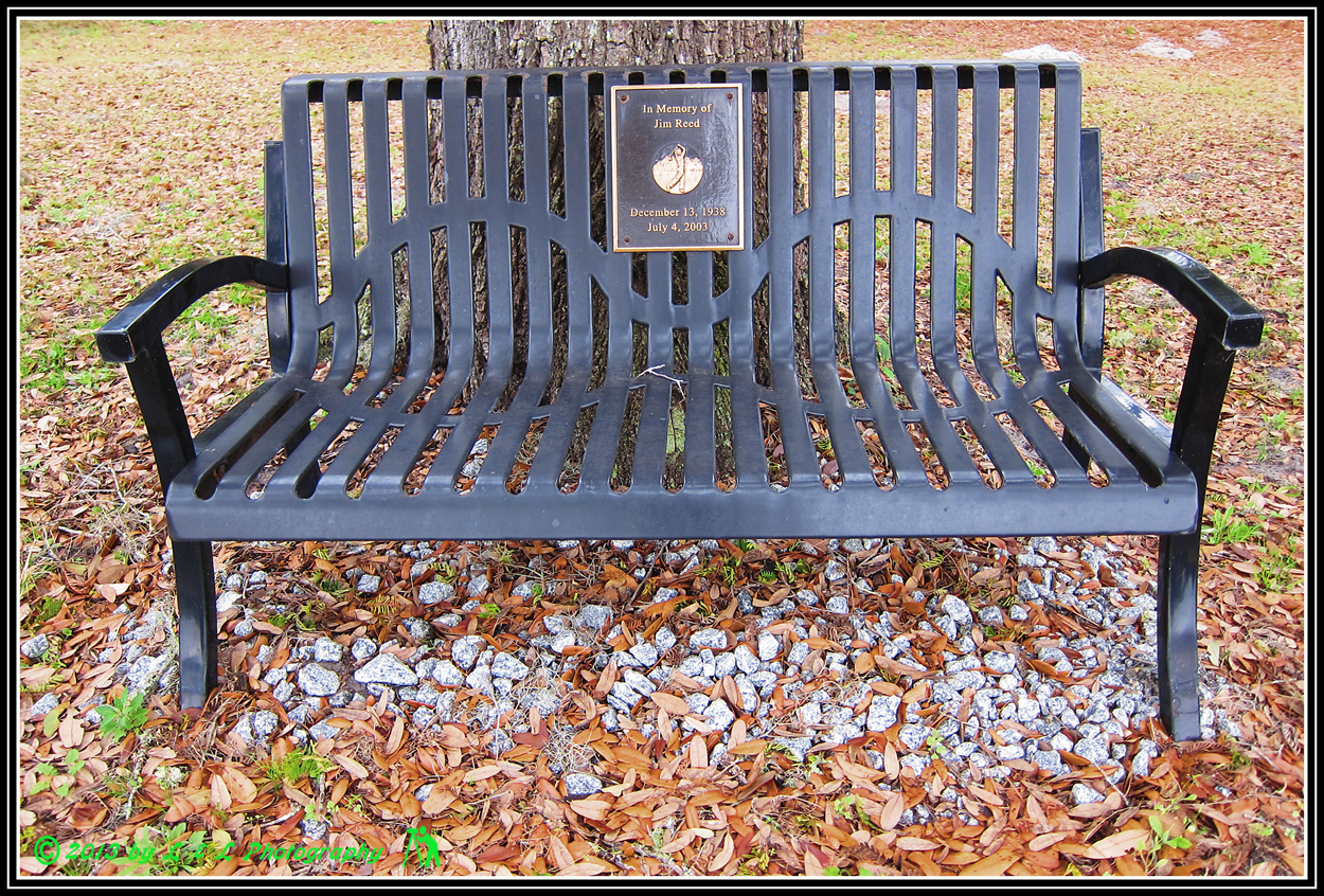 Ocala, Central Florida & Beyond: Memorial bench