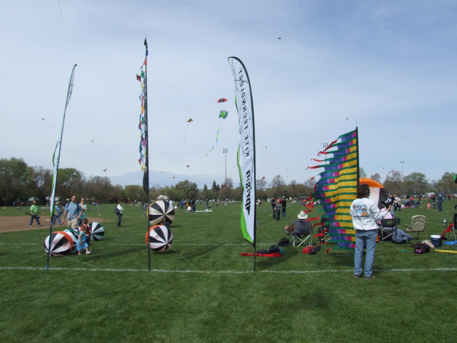 Tako Kichi (Kite Crazy): Sunday March 20th is Chico Kite Day