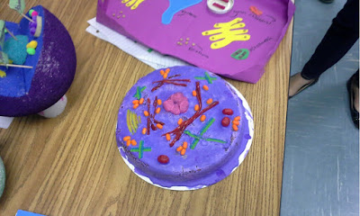 Teaching the Kid: The Cell Project!