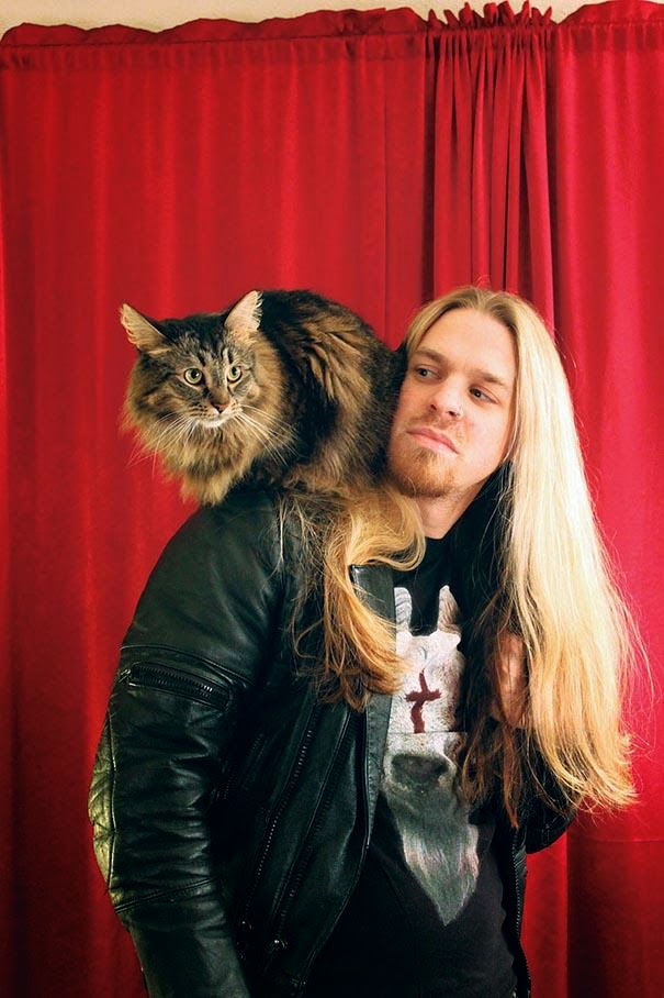 Planet Rock: Metaleros y sus gatos. Metal Cats