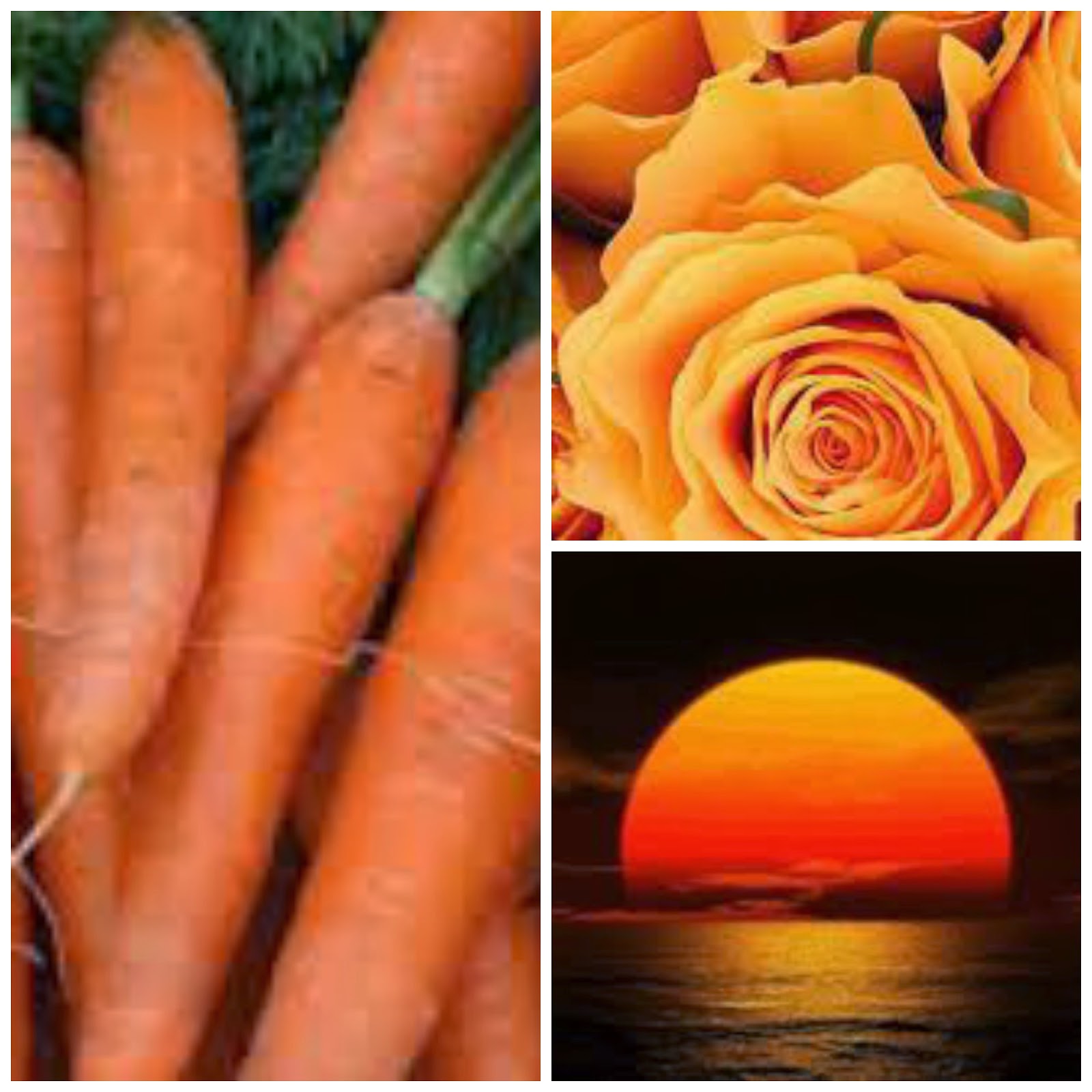 El color anaranjado / Deco Marce