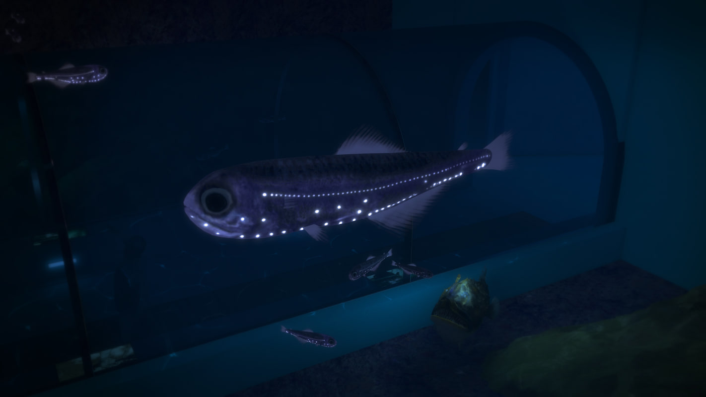 Scientific Explorer: Bioluminescence