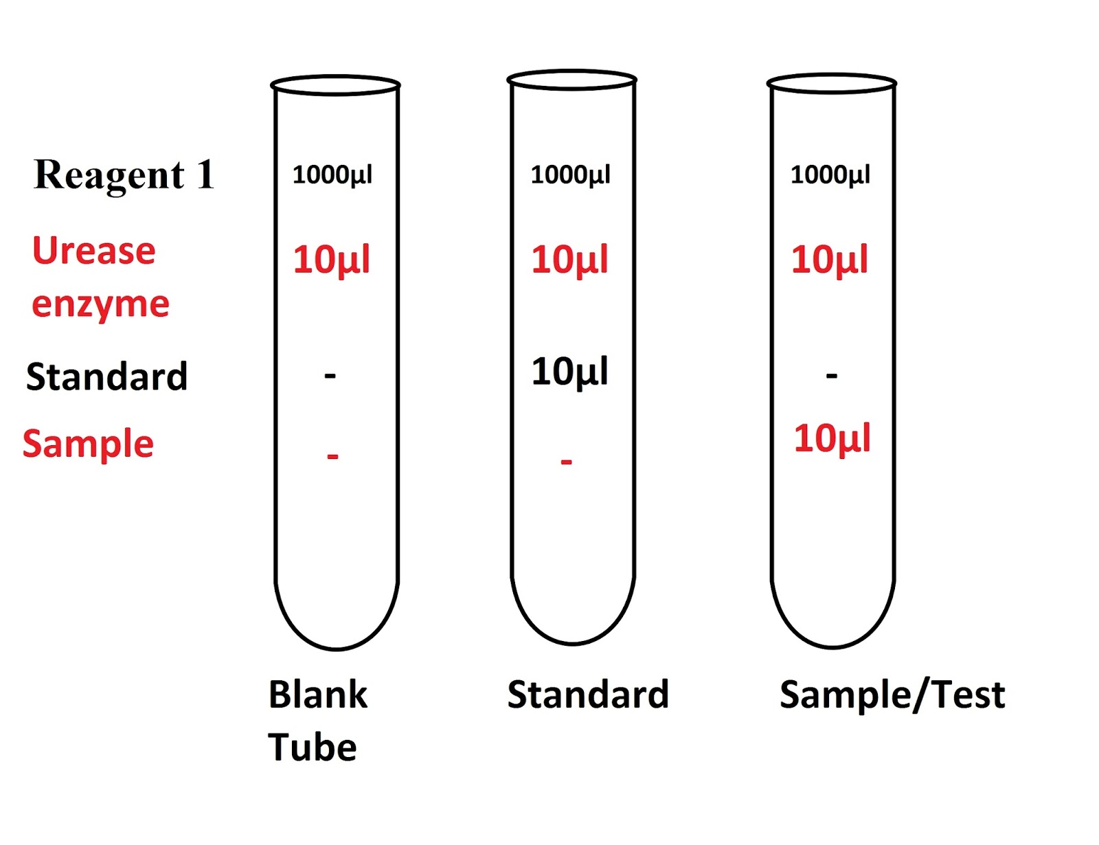 Measurement of Blood urea - LabMedHub: Elevating Lab Medicine Education ...