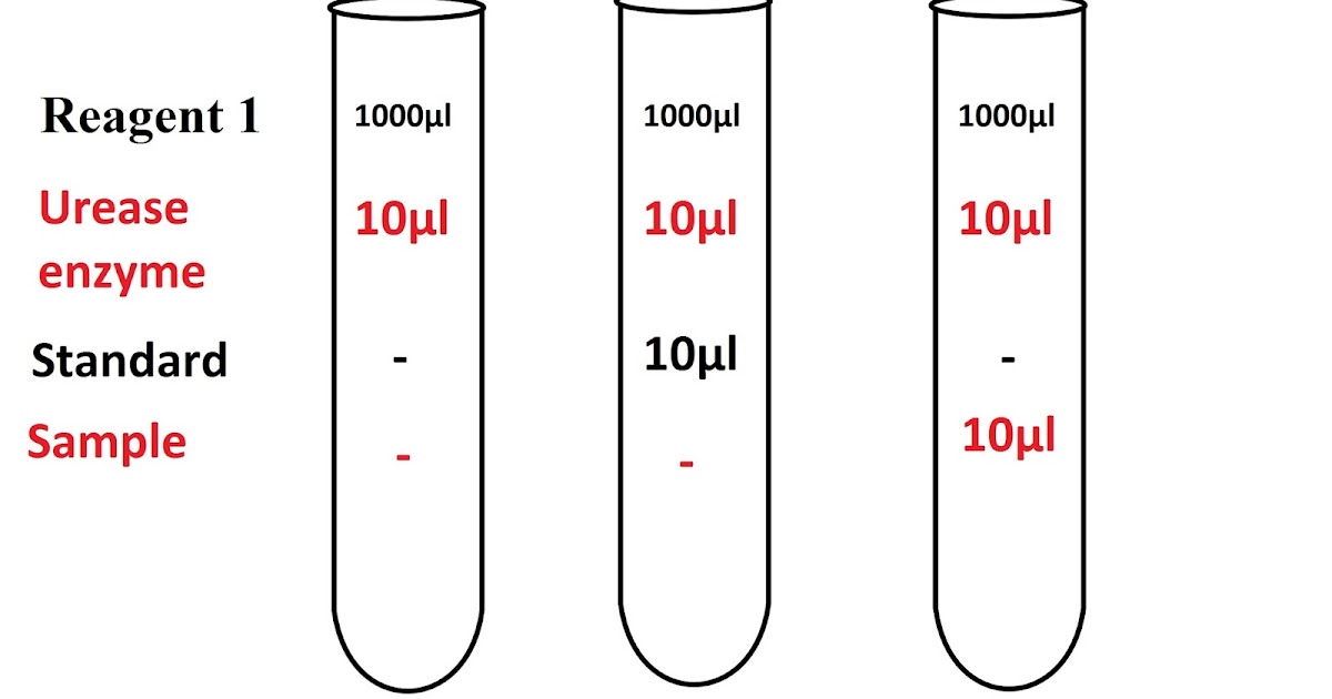 Measurement of Blood urea - LabMedHub: Elevating Lab Medicine Education ...
