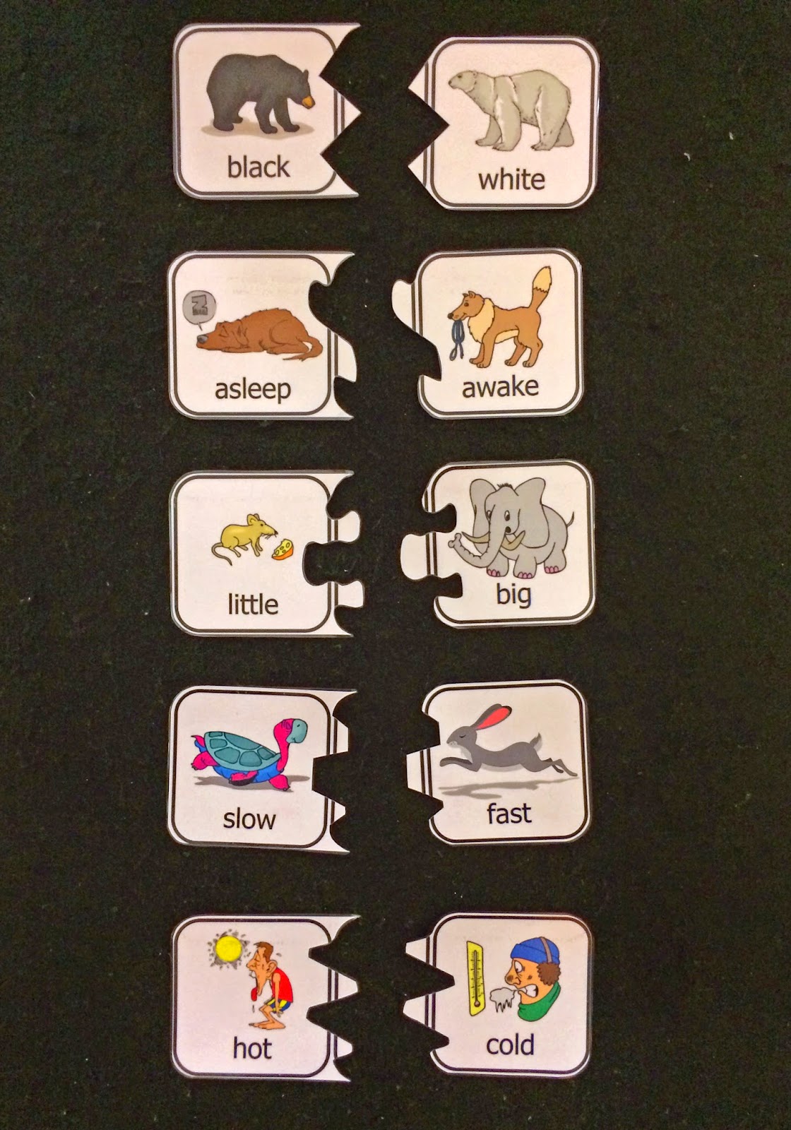 Literary Hoots: Storytime: Opposites