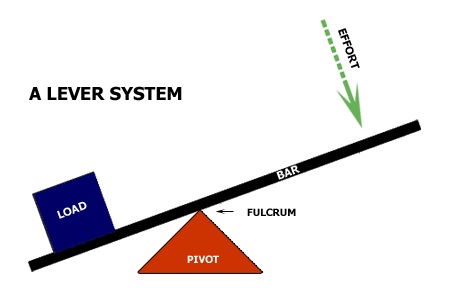 Skill Development and Biomechanics