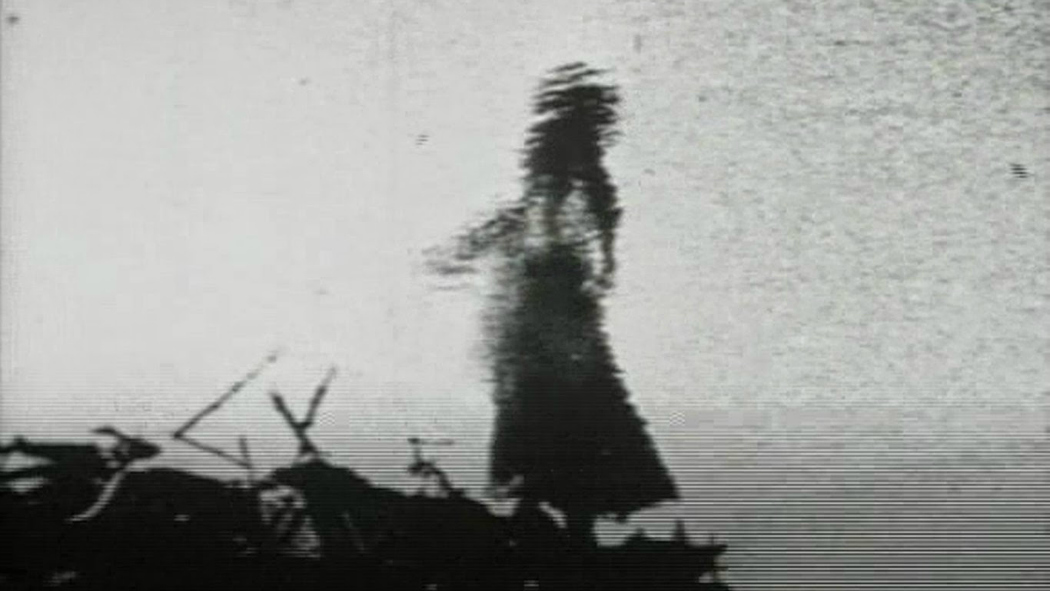 ANTEBELLUM BLOG: BEGOTTEN