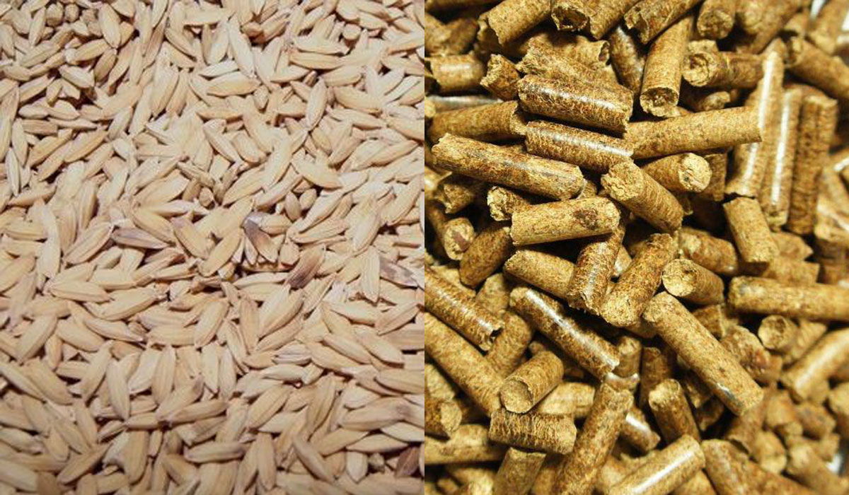 What are the characteristics of rice husk granules produced by biomass ...