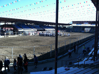 AQSpees: angola prison rodeo