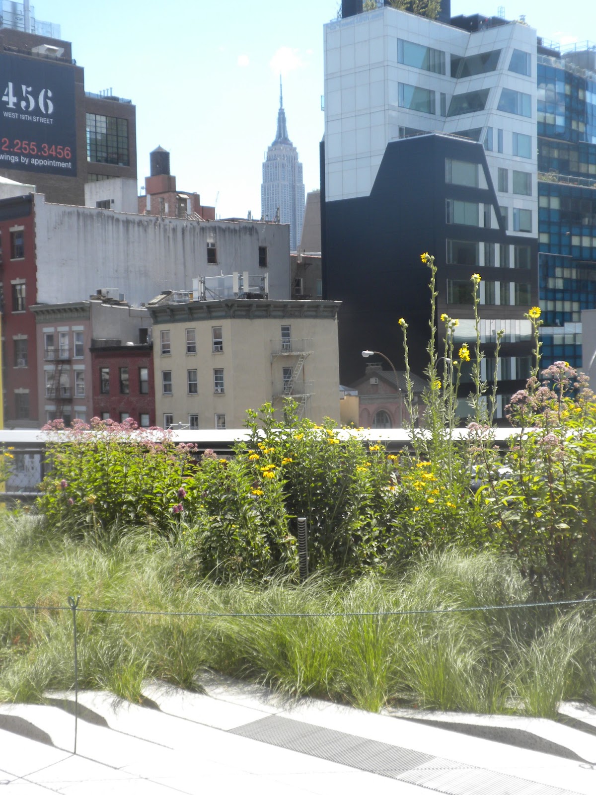 Every goddamn day: 03/23/22: Long, narrow park to give new perspective