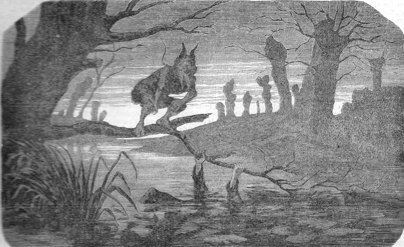 Chroniques du temps passé: Les visions de la nuit dans les campagnes.