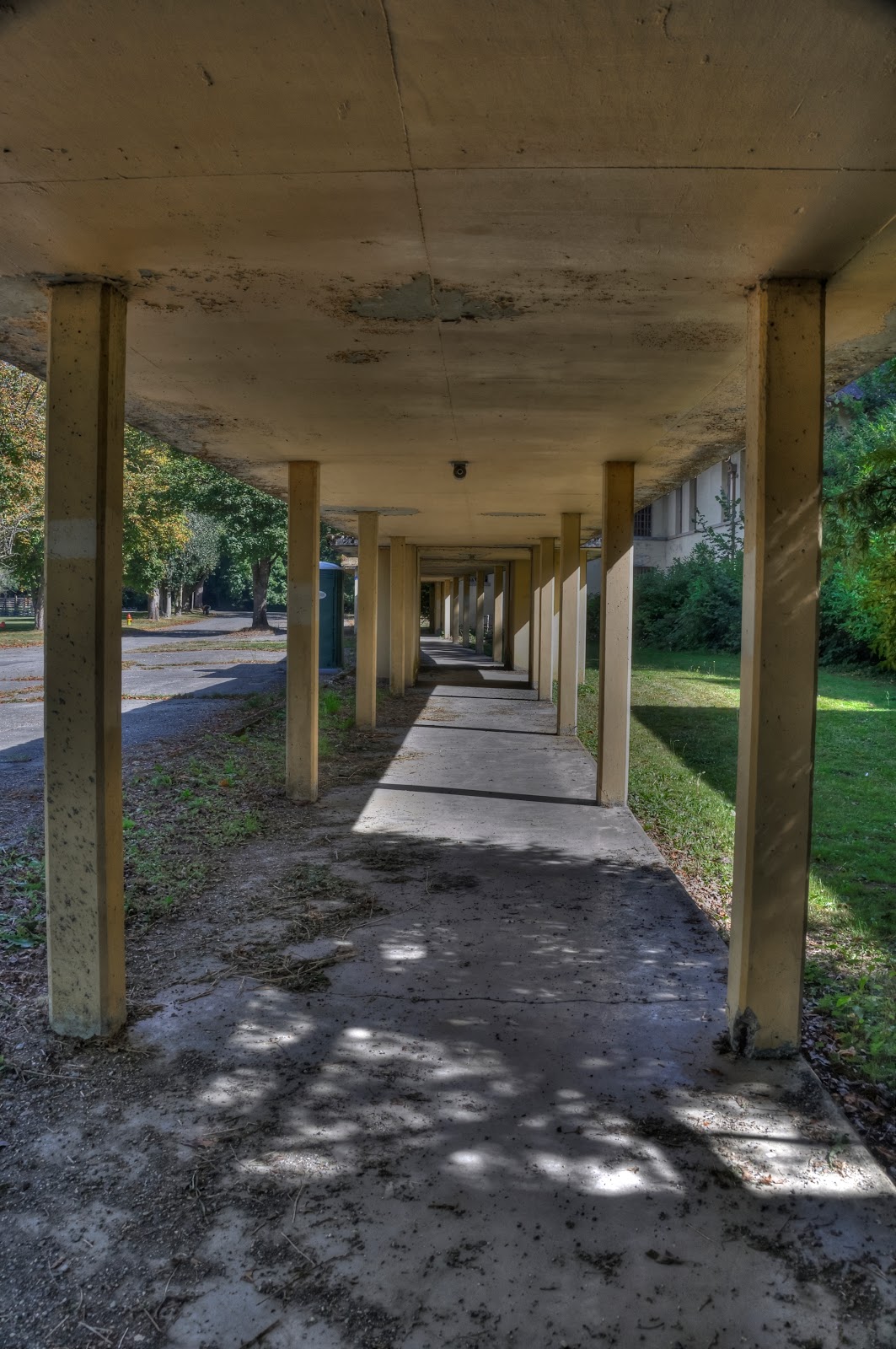This Life in Ruins: Northern State Hospital Grounds on Photographic Tour