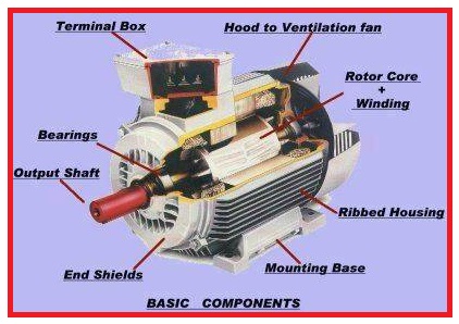 Basic Components of Electric Motor - EEE COMMUNITY