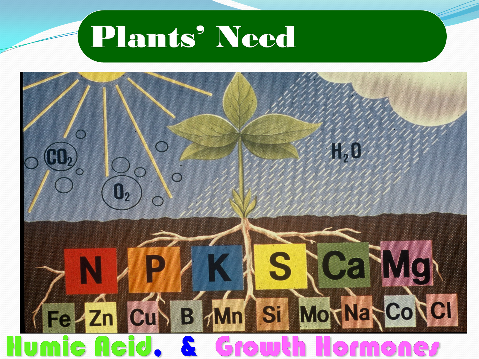 POWER GROW FOLIAR FERTILIZER