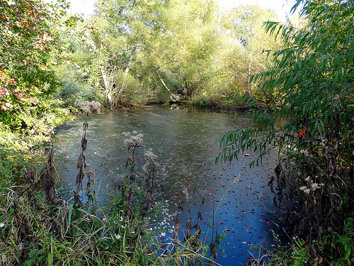 Hollywood Glitz: Lynbrook, New York, Your Quiet Vacation Spot