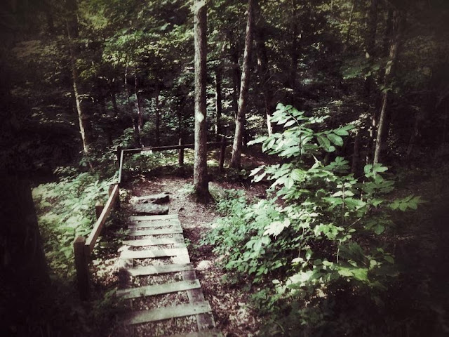 Jake & Susan's Wild Indiana: Hemlock Cliffs in Hoosier National Forest