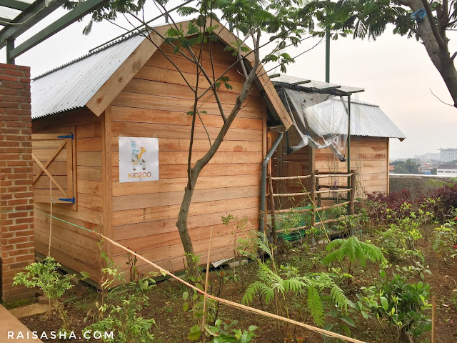 Visiting Rooftop Zoo at Kidzoo PVJ - R A I S A S H A