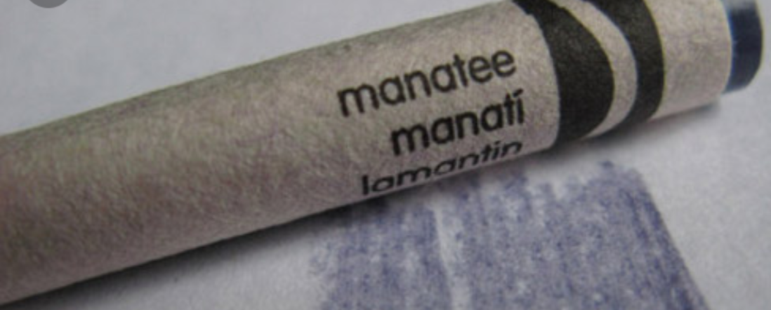 Art Room Blog: Today's Art Room Report...