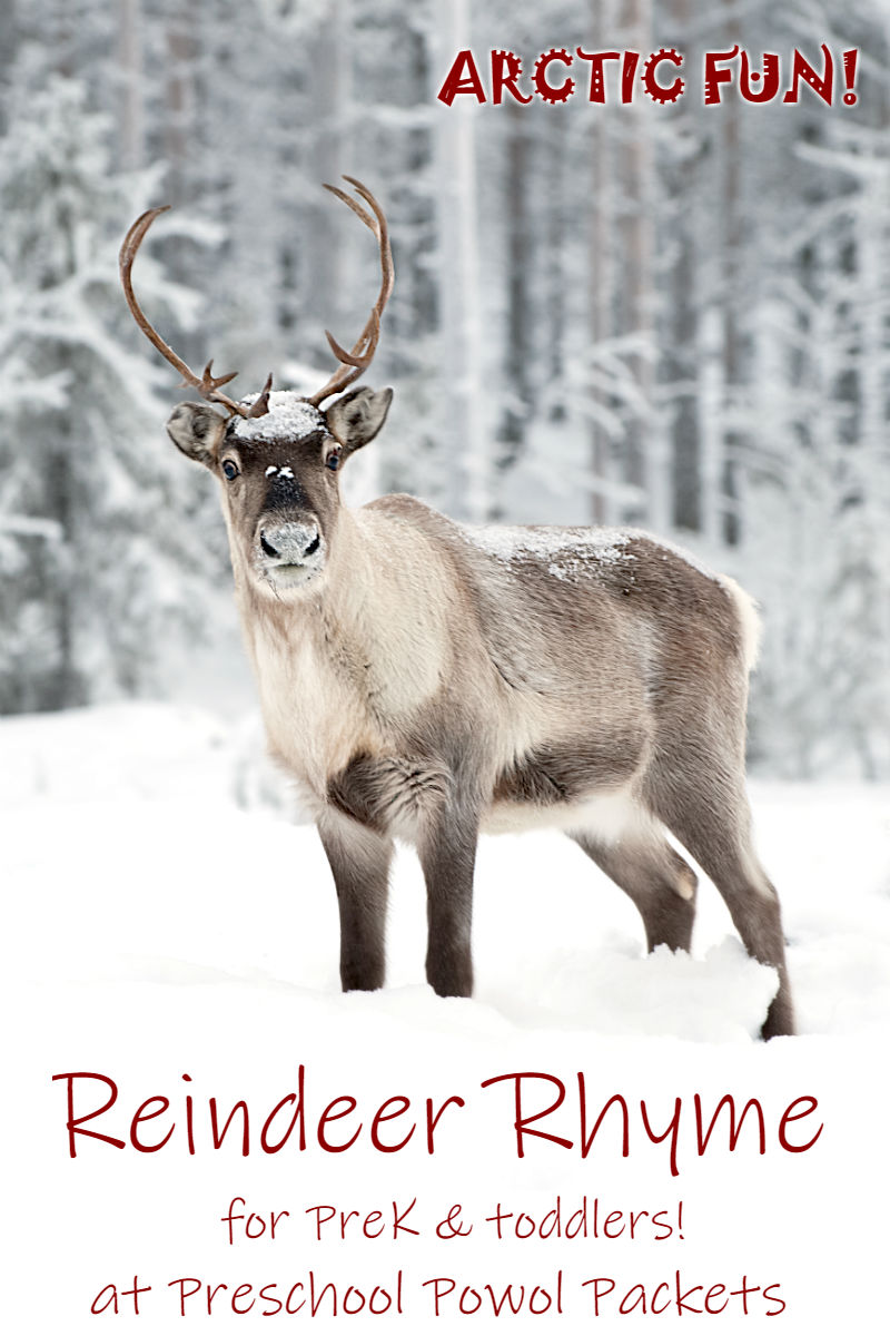 Reindeer Action Rhyme Song | Preschool Powol Packets