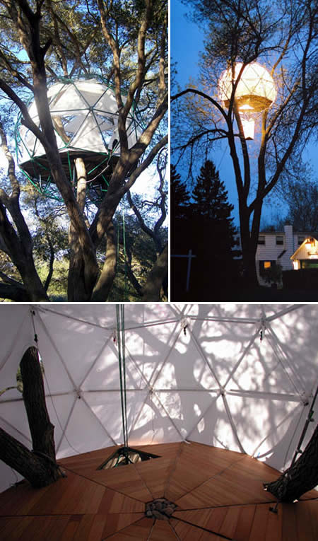 Extremely distinct expensive tree houses - twenty ranking