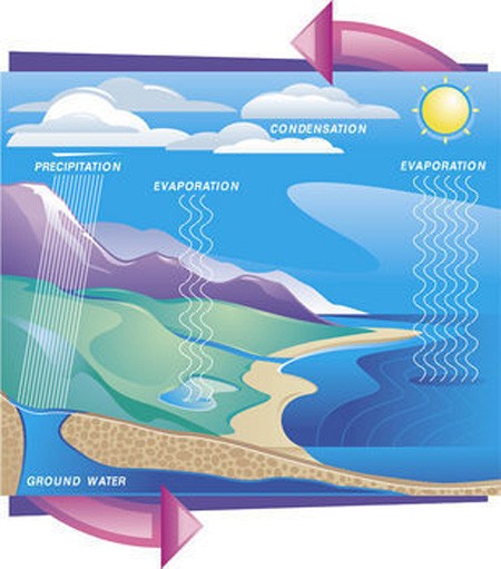 Water Cycle Scavenger Hunt