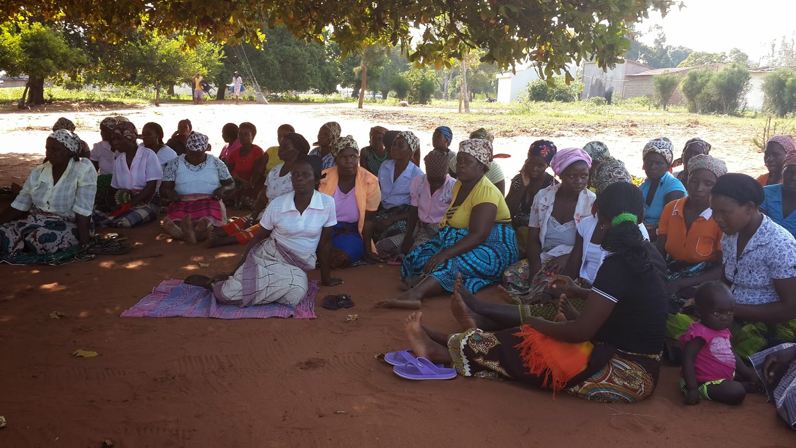 Conselho Municipal da Cidade de Chibuto