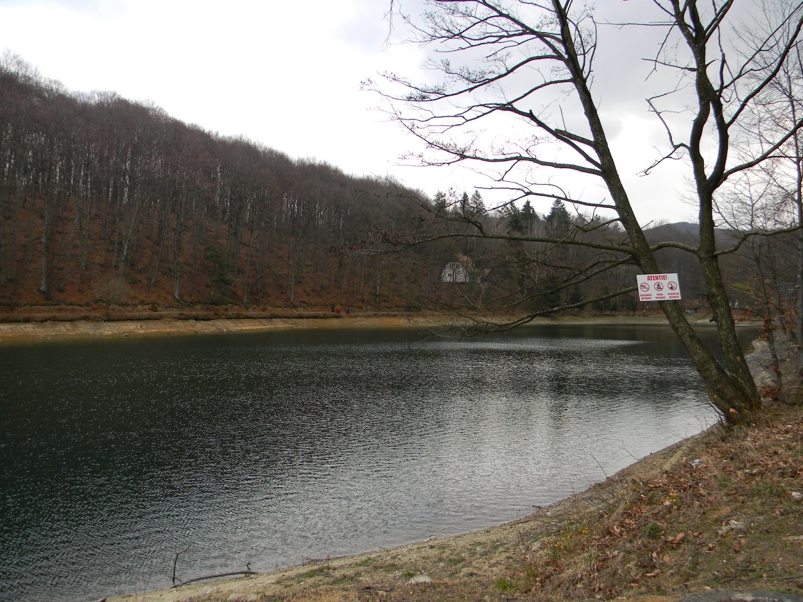 Blog de Calatorii si Drumetii Montane.: Lacul de la Codlea ,jud.Brasov ...